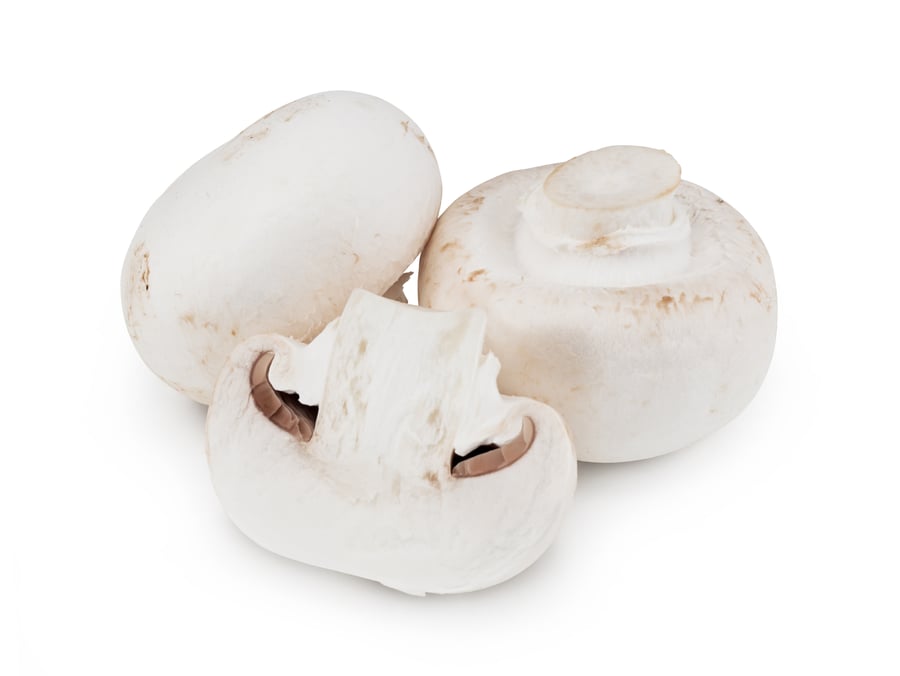 The Taste & Health Benefits of Popular Types of Edible Mushrooms