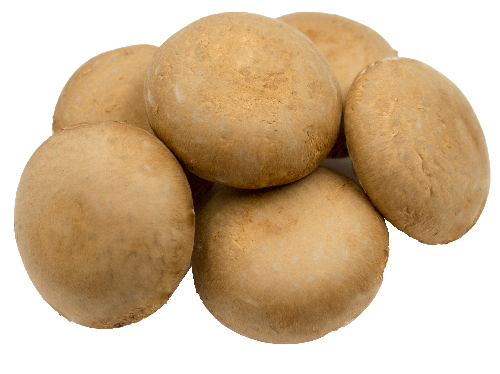 Portabellini® Mushrooms | Monterey Mushrooms